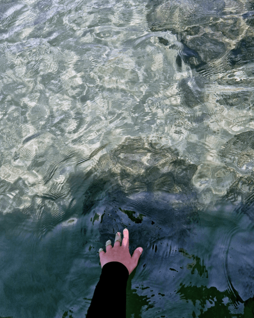 Curated Natural Stone Slabs | stone EDIT - January 2026 - Zucchi Stones